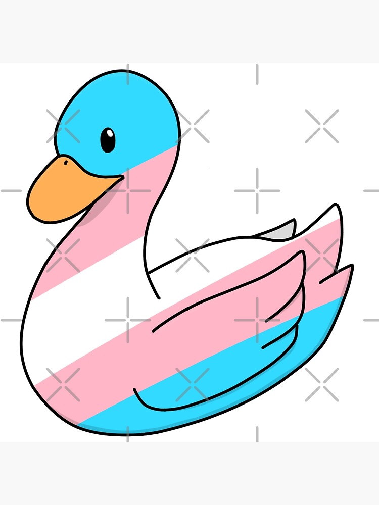"Light Trans Duck" Poster for Sale by ceolsonart | Redbubble