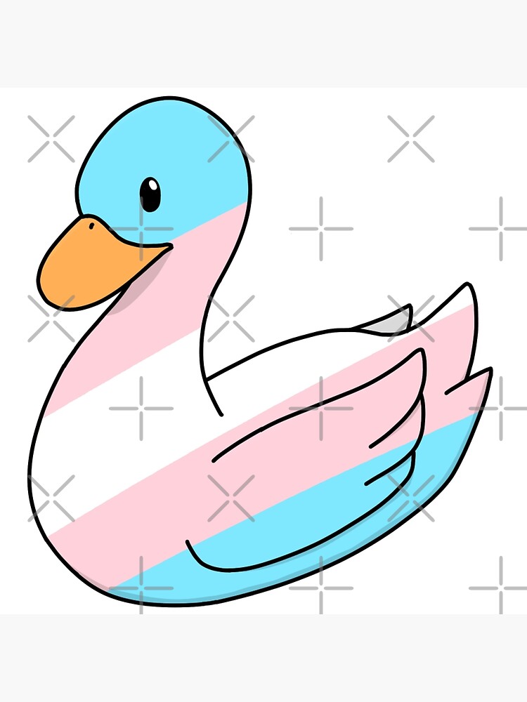 "Pastel Trans Duck" Poster for Sale by ceolsonart | Redbubble