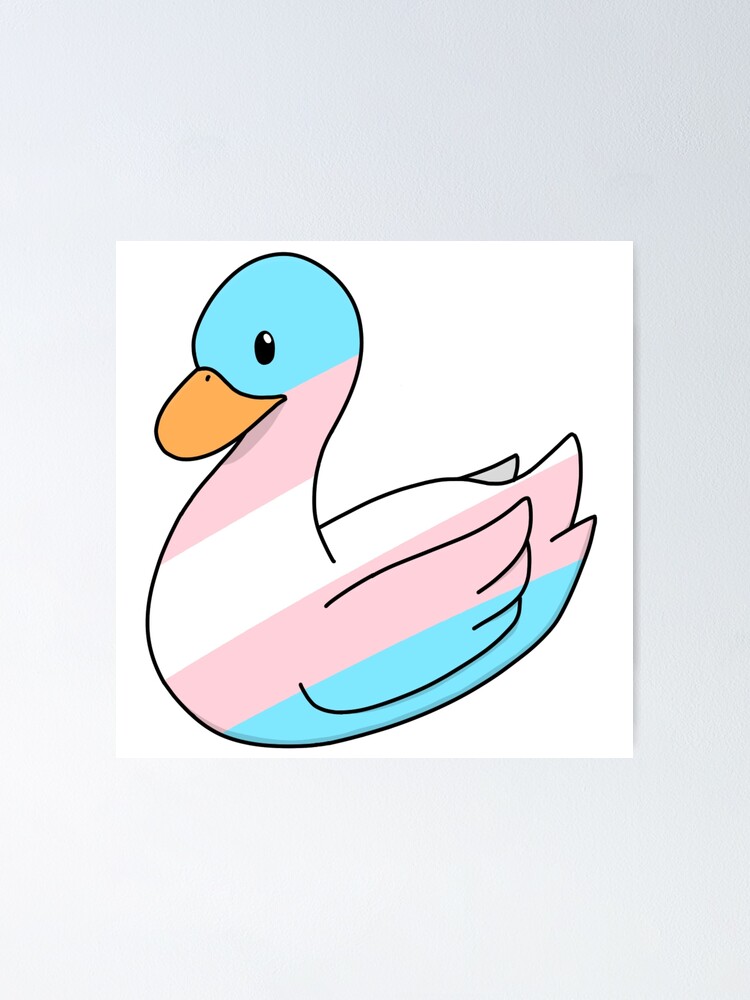 "Pastel Trans Duck" Poster for Sale by ceolsonart | Redbubble