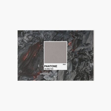 "Ash pantone color " Art Board Print for Sale by Veyiive | Redbubble