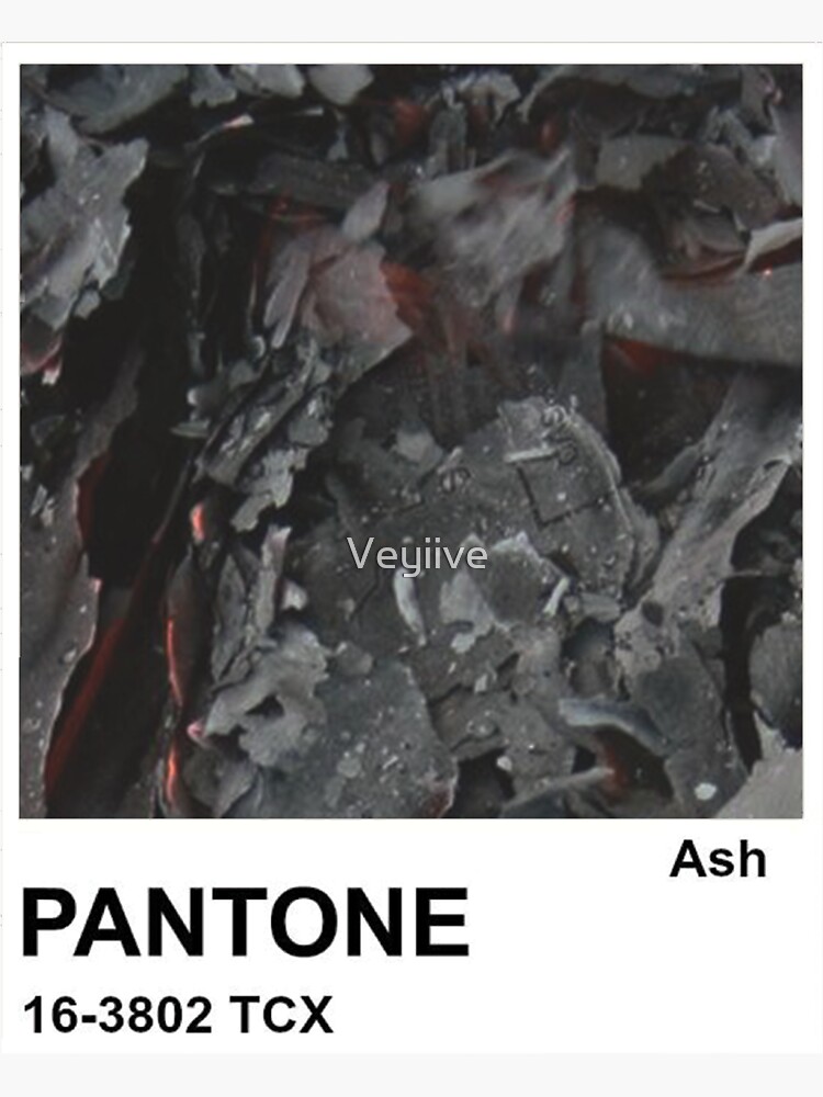 "Ash pantone color " Sticker for Sale by Veyiive | Redbubble