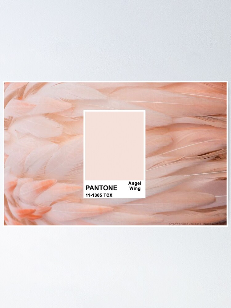 "Angel wings pantone color " Poster for Sale by Veyiive | Redbubble