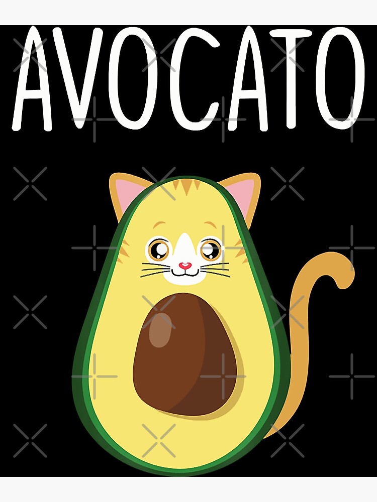 "Avocato Avocado Cat Funny Quote Vegan Vegetarian Classic Music Fans ...