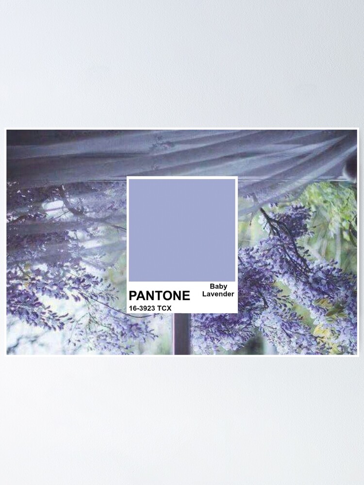 "Baby lavender color " Poster for Sale by Veyiive | Redbubble