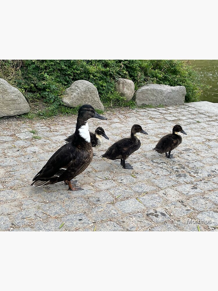 "Royal duck family" Poster for Sale by Mortinus | Redbubble