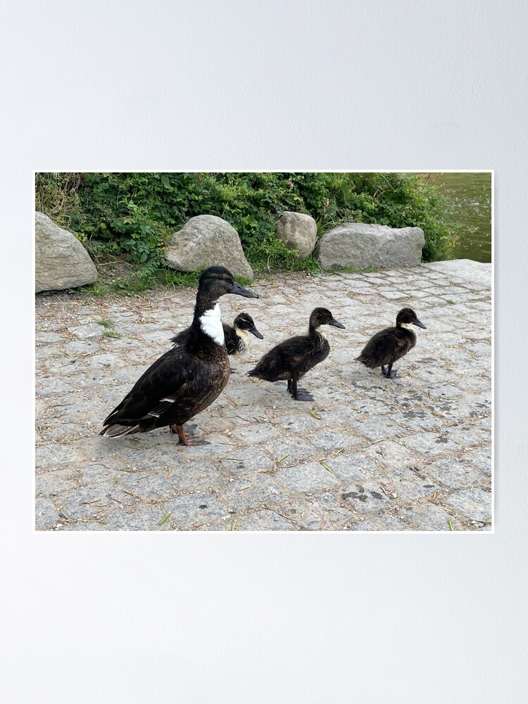"Royal duck family" Poster for Sale by Mortinus | Redbubble