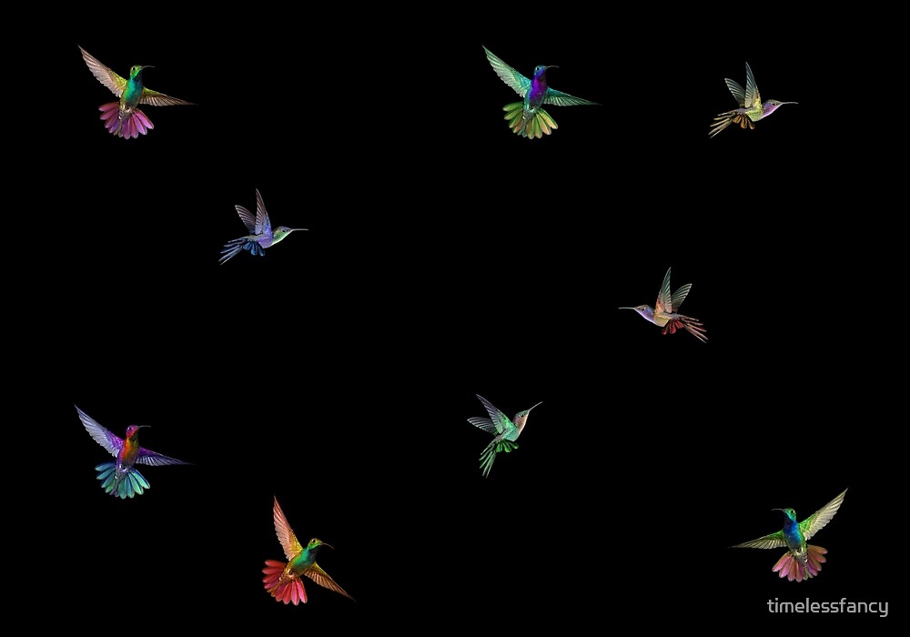 "Beautiful Hummingbirds on a black background" by Dodi Ballada | Redbubble