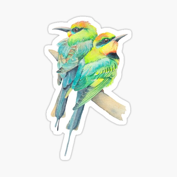 "Rainbow bee-eaters - colourful birds watercolour" Sticker for Sale by ...