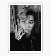 Chanyeol: Stickers | Redbubble