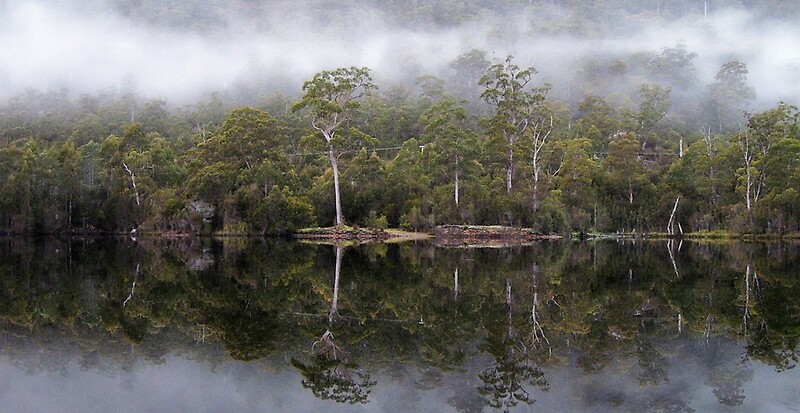 "Lake Rosebery at Tullah, Tasmania " by Gaylene Norton | Redbubble