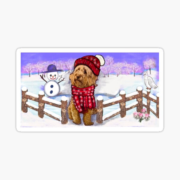 "Cavoodle in festive red winter hat and scarf- cute cavalier king ...