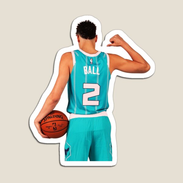 "LaMelo Ball Funart" Magnet for Sale by gunadiya84 | Redbubble