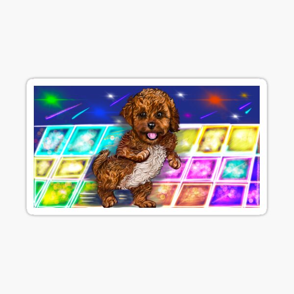 "Cavapoo Cavoodle puppy laughing and disco dancing- cute cavalier king ...
