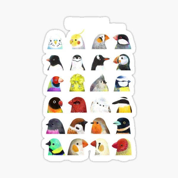 "Birds Collection" Sticker for Sale by julianamotzko | Redbubble