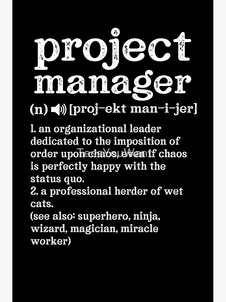 "Project Manager Definition: an organizational leader dedicated to the ...