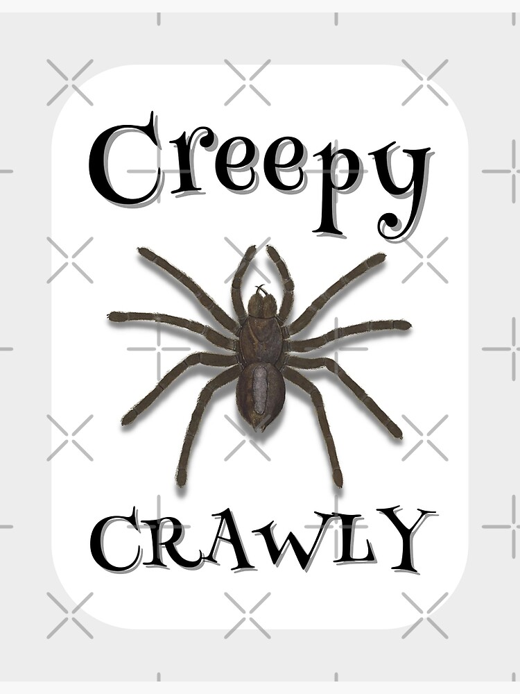 "Creepy Crawly | Spider | Spiders" Poster by Einstein12345 | Redbubble