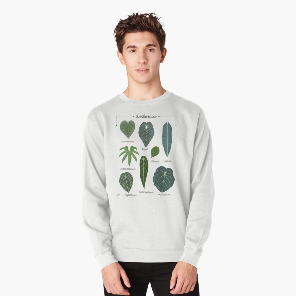 "Anthurium leaves species chart botanical illustration" Art Print for ...