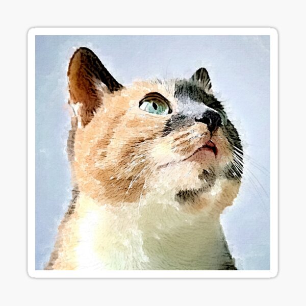 "Cat painting" Sticker by ChandiG | Redbubble