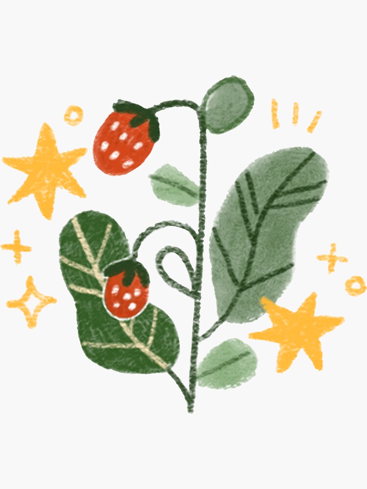"Strawberry Plant" Sticker by yanncito | Redbubble