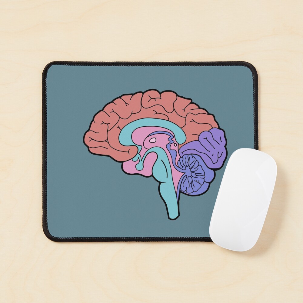 "Anatomical brain - pastel colors" Sticker for Sale by preslavagenova ...