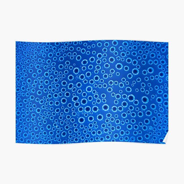 "Effervescent bubbles" Poster for Sale by jerrodbug | Redbubble