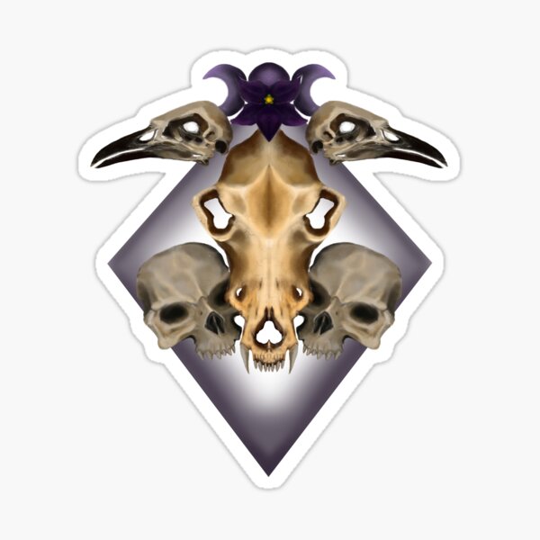 Pegatina «Bodegón de un cráneo de lobo, cráneos de cuervo y cráneos de ...