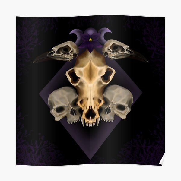Póster « Un cráneo de lobo, cráneos de cuervo y cráneos de un humanoide ...