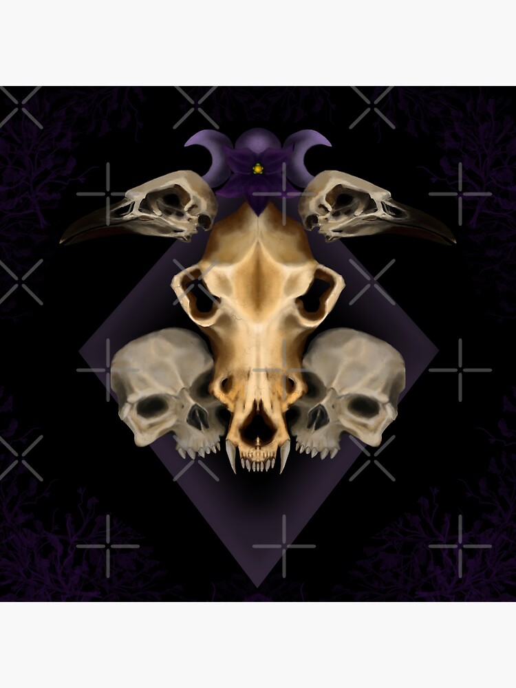 " A wolf skull, raven skulls and skulls of a humanoid" Sticker for Sale ...