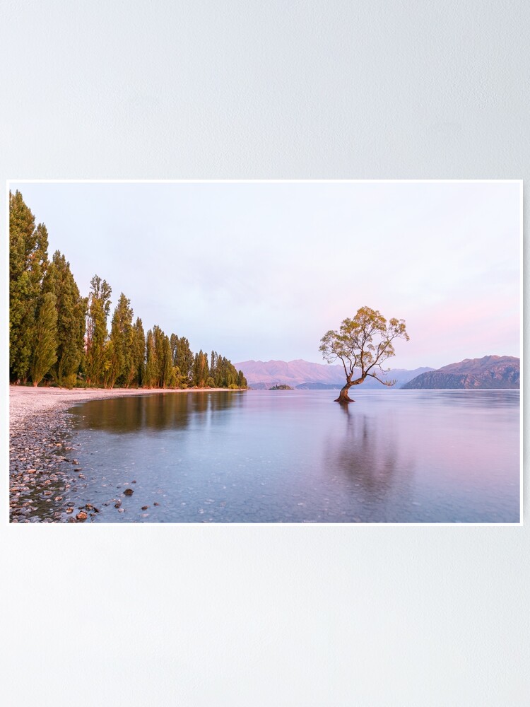 "Wanaka Tree New Zealand Landscape " Poster for Sale by JoshuaSmall ...