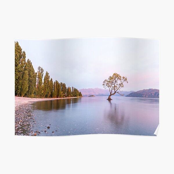 "Wanaka Tree New Zealand Landscape " Poster for Sale by JoshuaSmall ...
