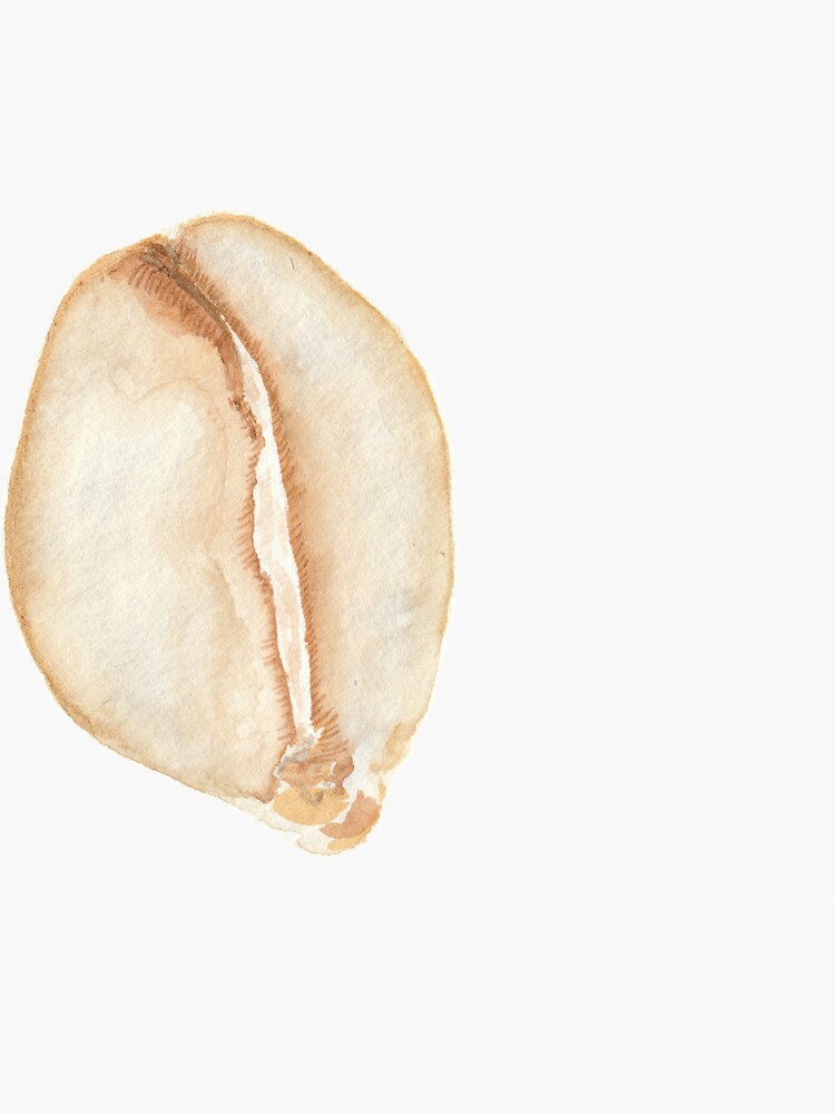 "Buzios Shell" Sticker for Sale by bboldlondon | Redbubble