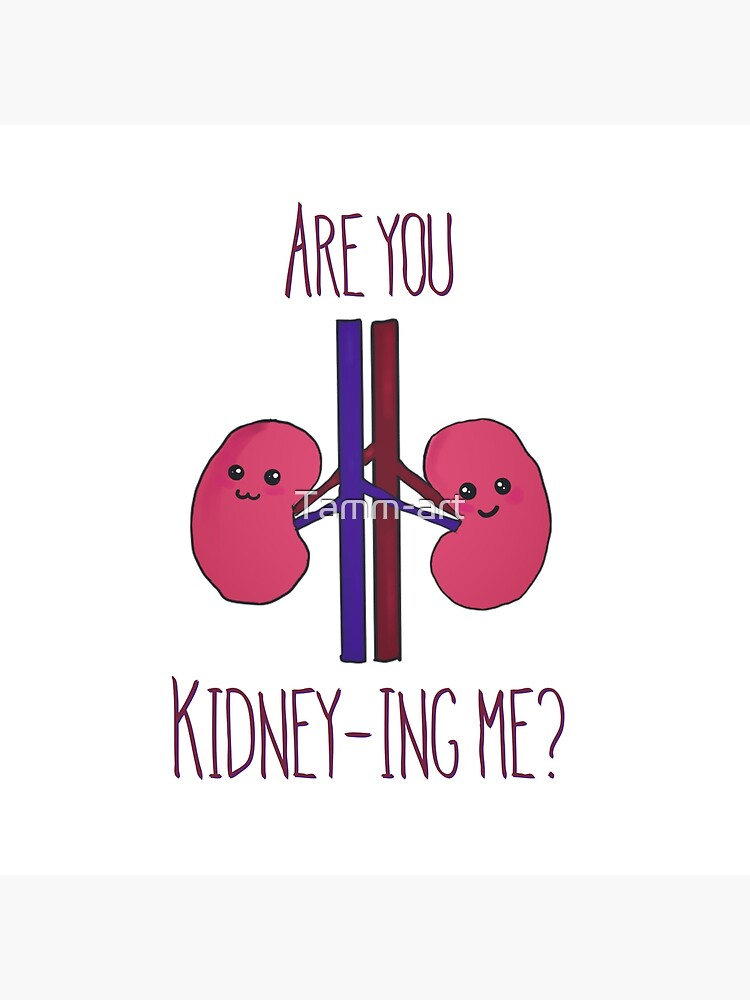 "Are you kidney-ing me?" Poster for Sale by Tamm-art | Redbubble