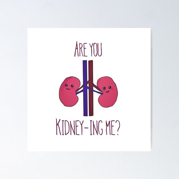 Kidney Disease Memes Kidneys Memes And Images Imgur