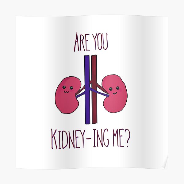 "Are you kidney-ing me?" Poster for Sale by Tamm-art | Redbubble