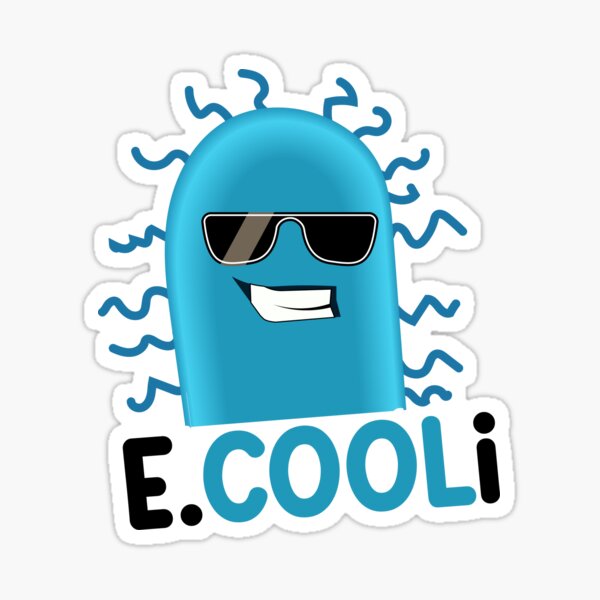 "E.Cooli - E.coli Bacteria - Microbiology - Microbiologist ...