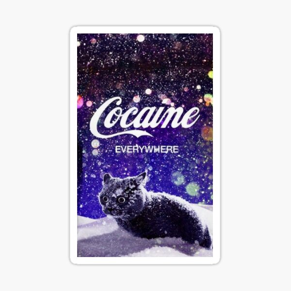 "Cocaine cat" Sticker for Sale by Mememagicman | Redbubble