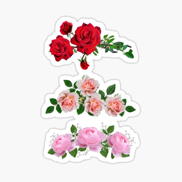 "Rose flower big" Sticker for Sale by saba21design | Redbubble