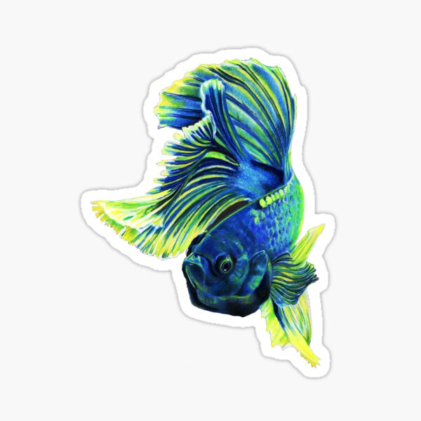"Fluoro Fish" Sticker by stephdrawsstuff | Redbubble