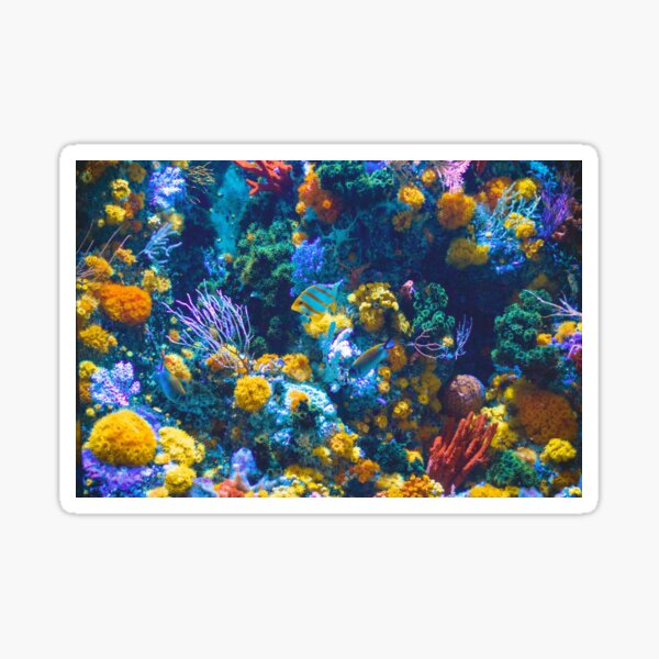 "Colorful Australian Coral Reef with Tropical Fish" Sticker for Sale by ...