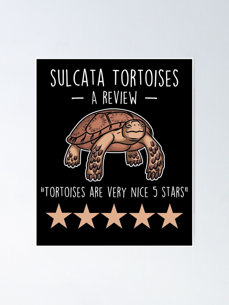 Póster «Revisión de la tortuga Sulcata» de Psitta | Redbubble