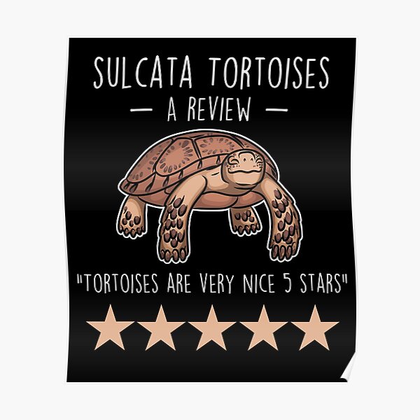 Póster «Revisión de la tortuga Sulcata» de Psitta | Redbubble