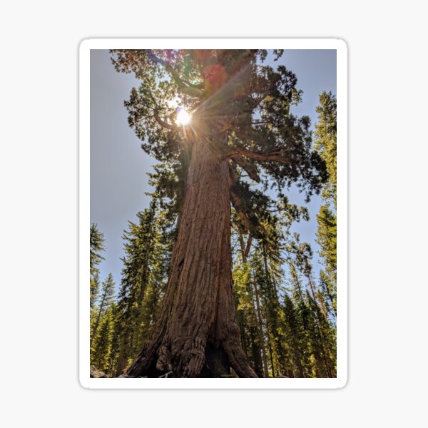 "The Giant" Sticker for Sale by DaniElizDesigns | Redbubble