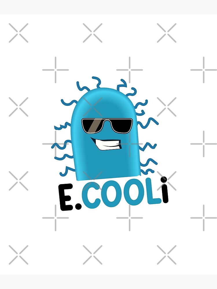 Póster «E.Cooli - Bacterias E.coli - Microbiología - Microbiólogo ...