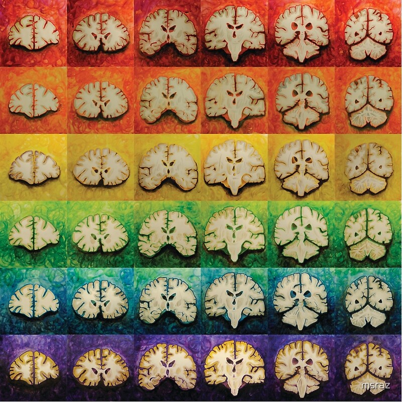 Neuroscience: Posters | Redbubble