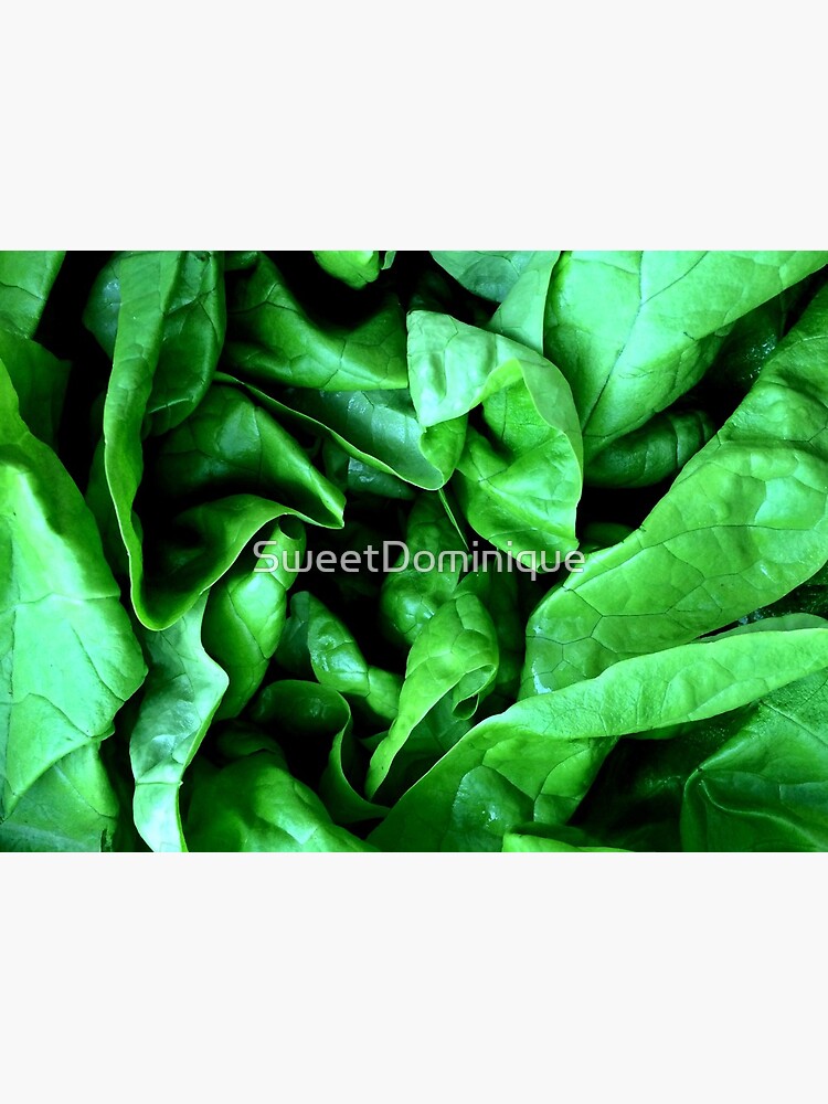 "Boston Lettuce" Mask for Sale by SweetDominique | Redbubble