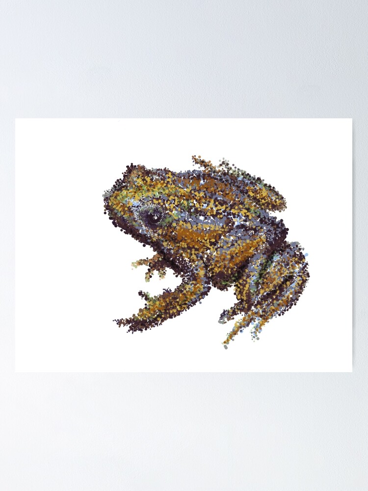 "Baw Baw Frog Pointillism Dot Art" Poster by lokilovesart | Redbubble
