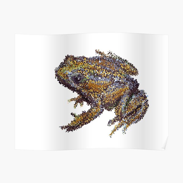 "Baw Baw Frog Pointillism Dot Art" Poster by lokilovesart | Redbubble