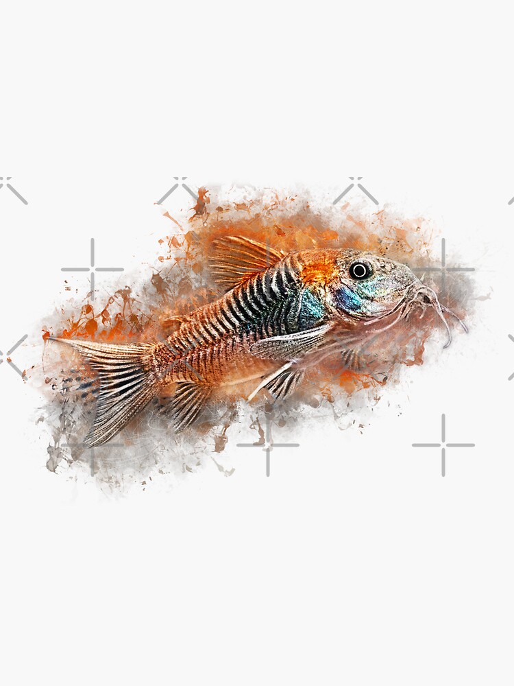 "Rust-red Venezuela armored catfish - Corydoras venezuelanus" Sticker ...