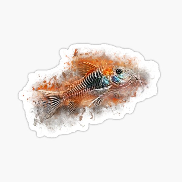 "Rust-red Venezuela armored catfish - Corydoras venezuelanus" Sticker ...