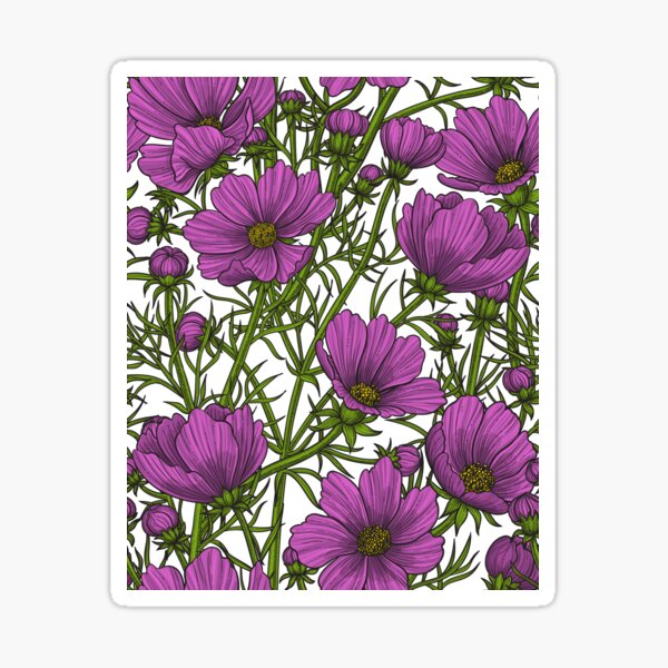 "Violet cosmos flowers" Sticker for Sale by katerinamk | Redbubble